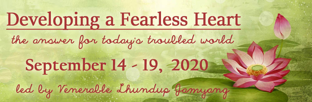 Developing the Fearless Heart: The Answer for Today’s Troubled World ...