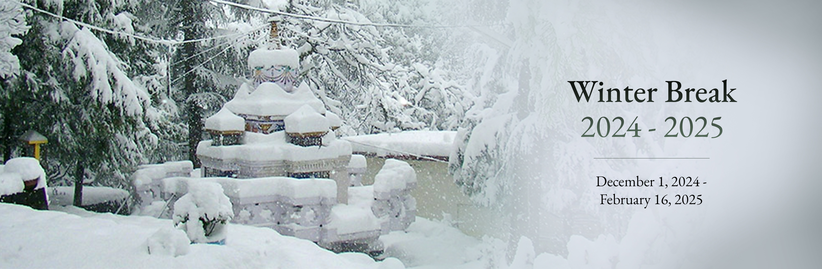 Winter Break 2024 – 25 « Tushita Meditation Center