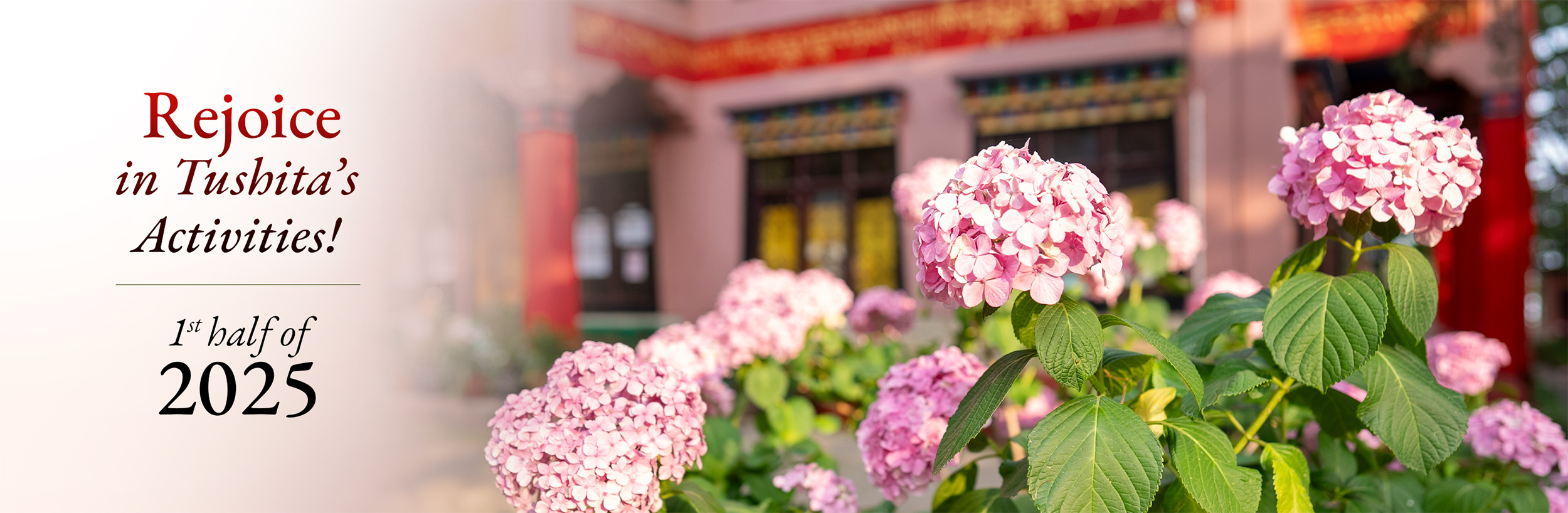 Rejoice in All Tushita’s Activities in the First Half of 2025 ...